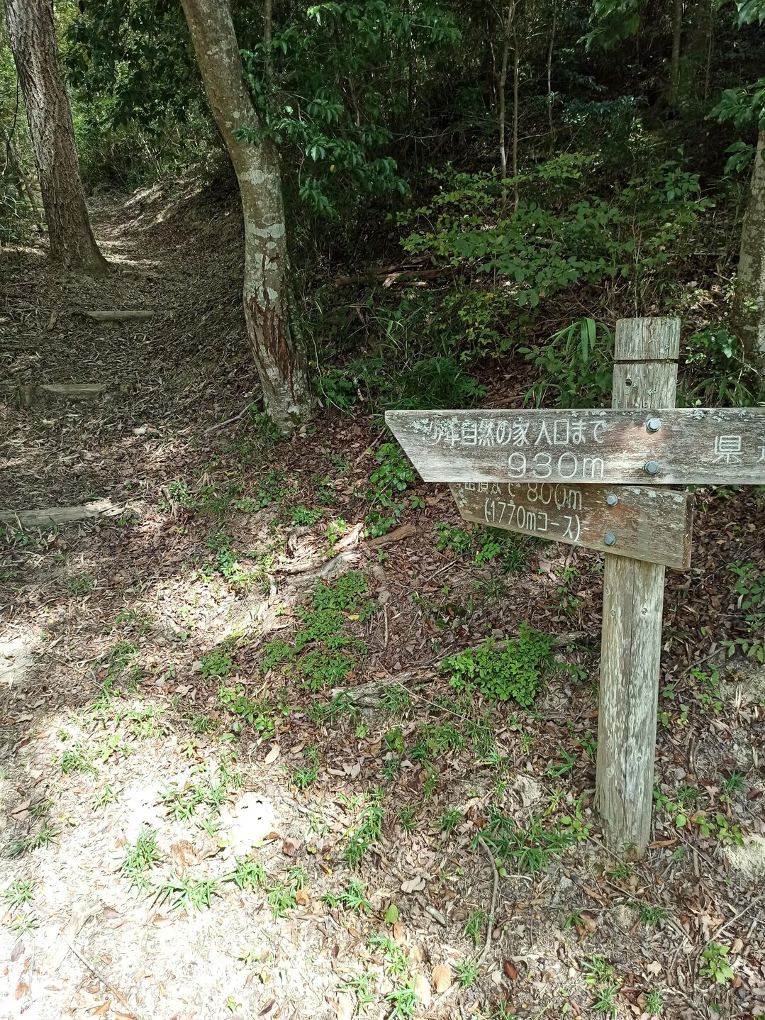 kost_japさんの投稿したフィールドメモ | YAMAP / ヤマップ