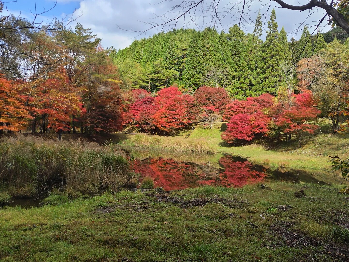 母娘紅葉狩り 今日は母と紅葉狩りに... / mktさんのモーメント | YAMAP / ヤマップ