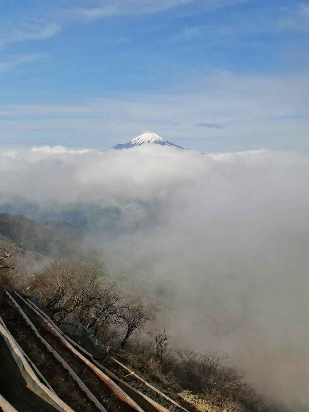 檜洞丸・大室山・加入道山 / bob syuu さんの塔ノ岳・丹沢山・蛭ヶ岳の活動データ | YAMAP / ヤマップ