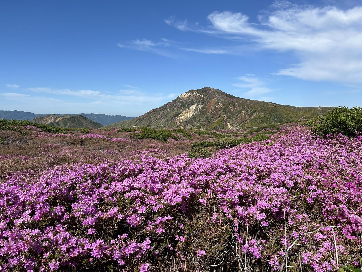 ミヤマキリシマ🌸の阿蘇⛰️後編 ️ / masapi-さんの阿蘇山・高岳・根子岳の活動データ | YAMAP / ヤマップ