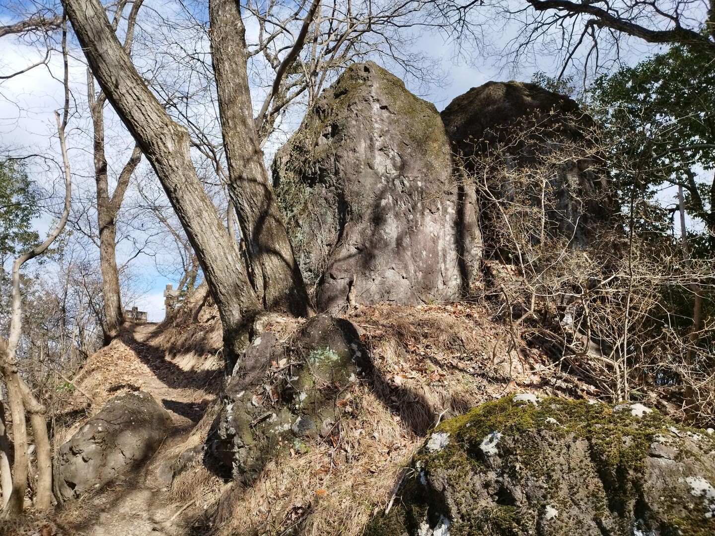 大沢山・高鳥屋山（周回・日帰り） / YK_ygtさんの大沢山・高鳥屋山の活動データ | YAMAP / ヤマップ