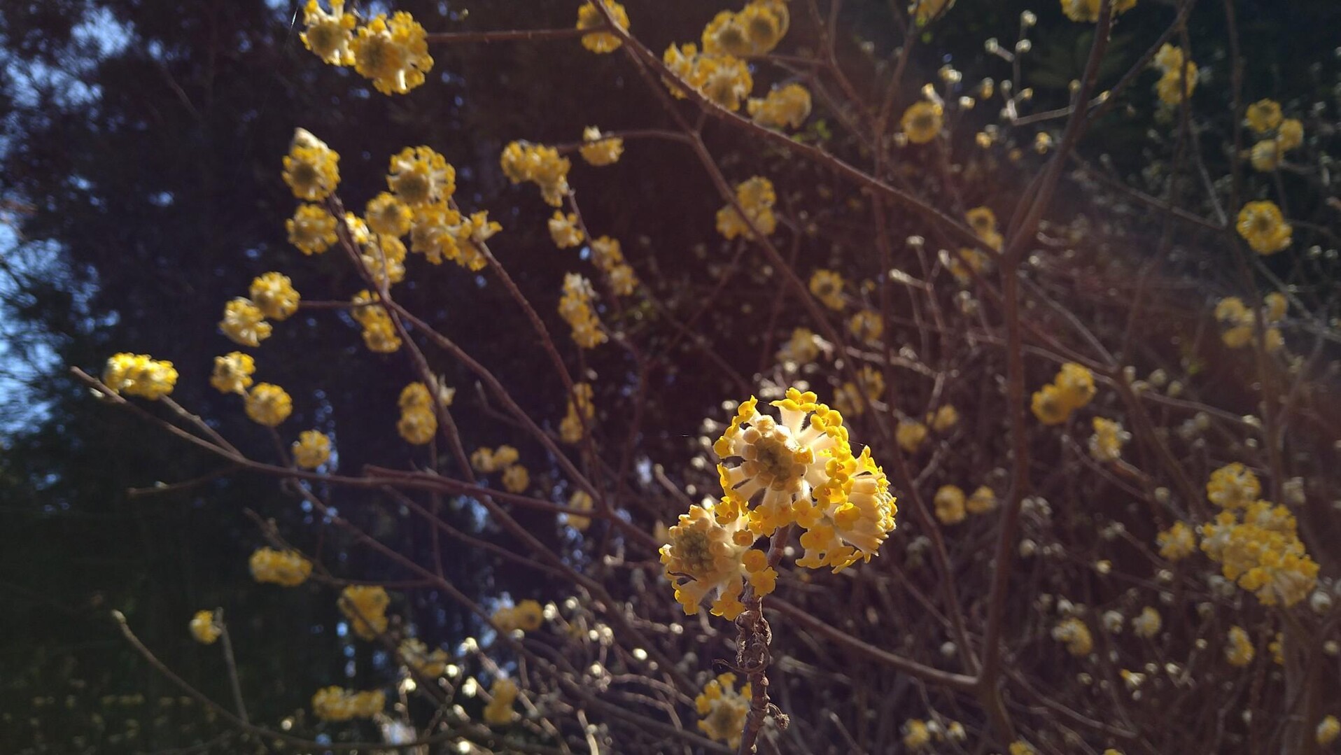 経ヶ岳・華厳山・高取山(荻野高取山) / たたみzさんの大山の活動データ | YAMAP / ヤマップ