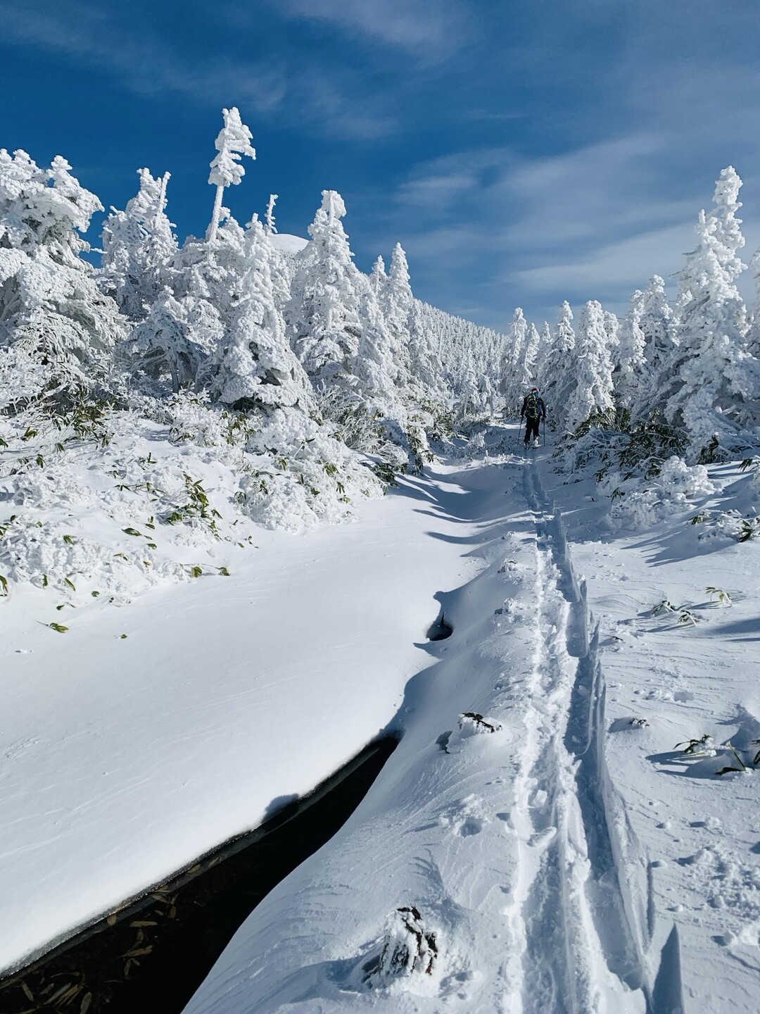 仙人岱BC、試練のシーズンイン！ / ZAKUさんの八甲田山・高田大岳・雛岳の活動データ | YAMAP / ヤマップ