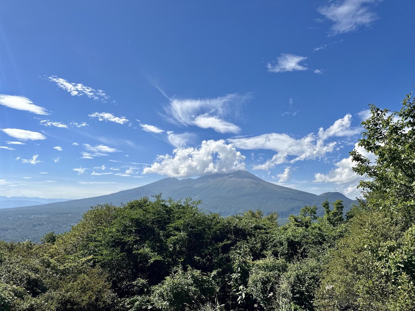 離山 / qkaruさんの鼻曲山・氷妻山・留夫山の活動日記 | YAMAP / ヤマップ
