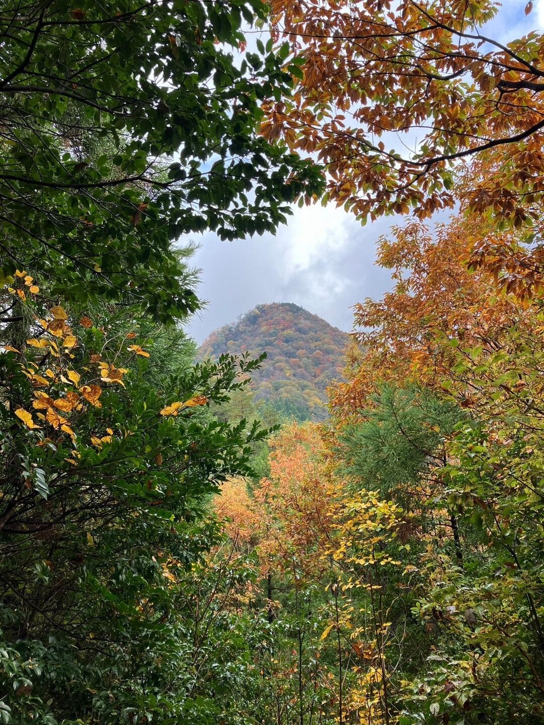 尖山 / Meiさんの尖山の活動データ | YAMAP / ヤマップ