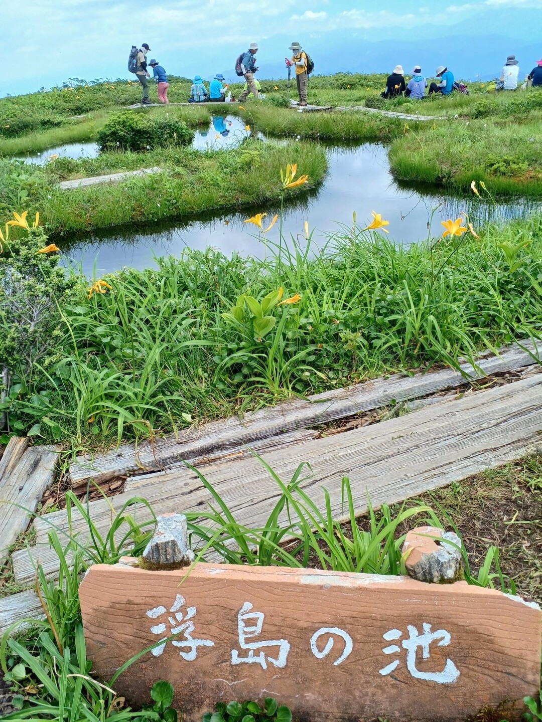 白木峰 / 香meさんの白木峰・小白木峰の活動データ | YAMAP / ヤマップ