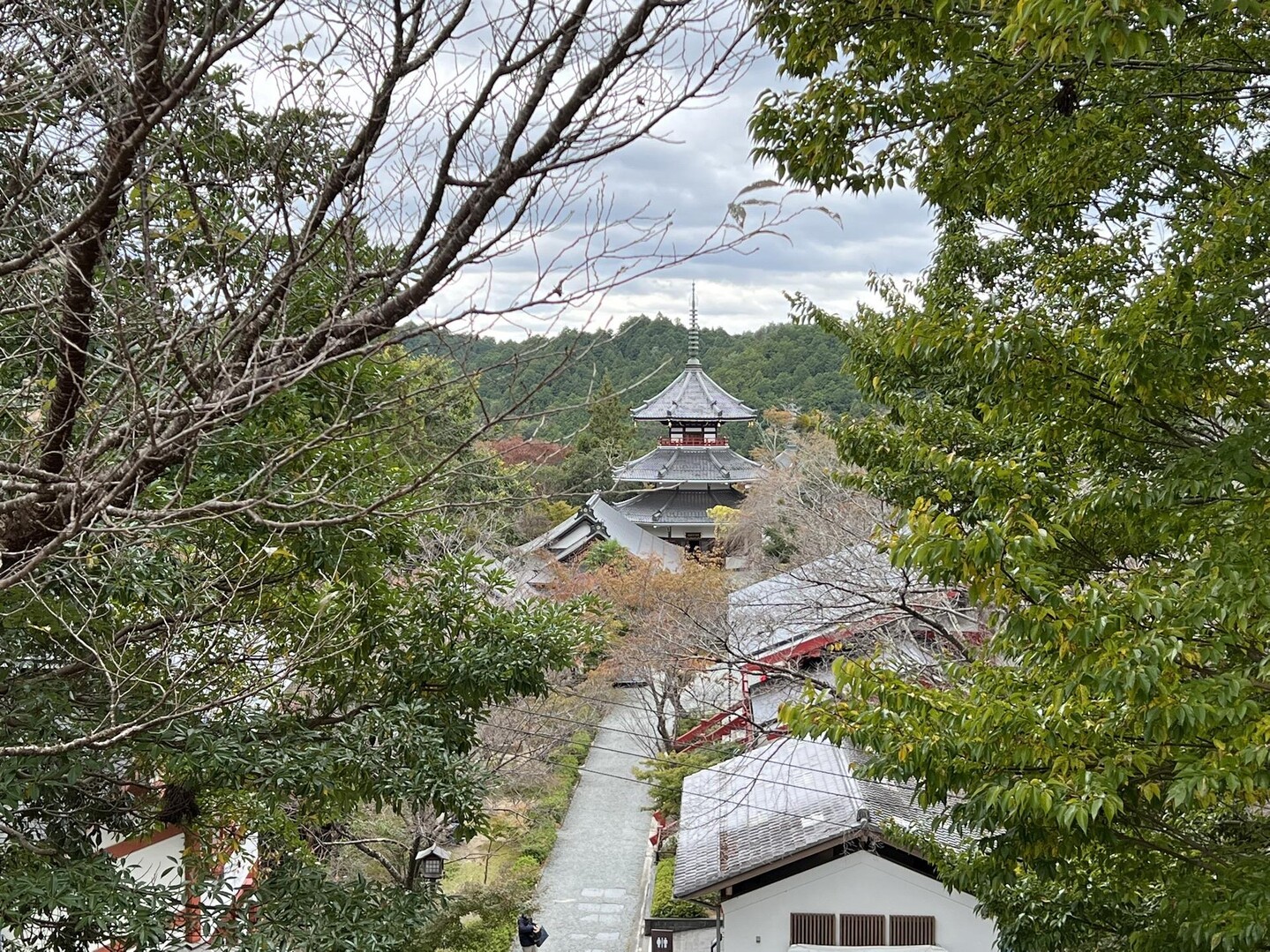 吉野☆歴史巡り / uraさんの大峯奥駈道 その1（吉野～山上ヶ岳）の活動データ | YAMAP / ヤマップ