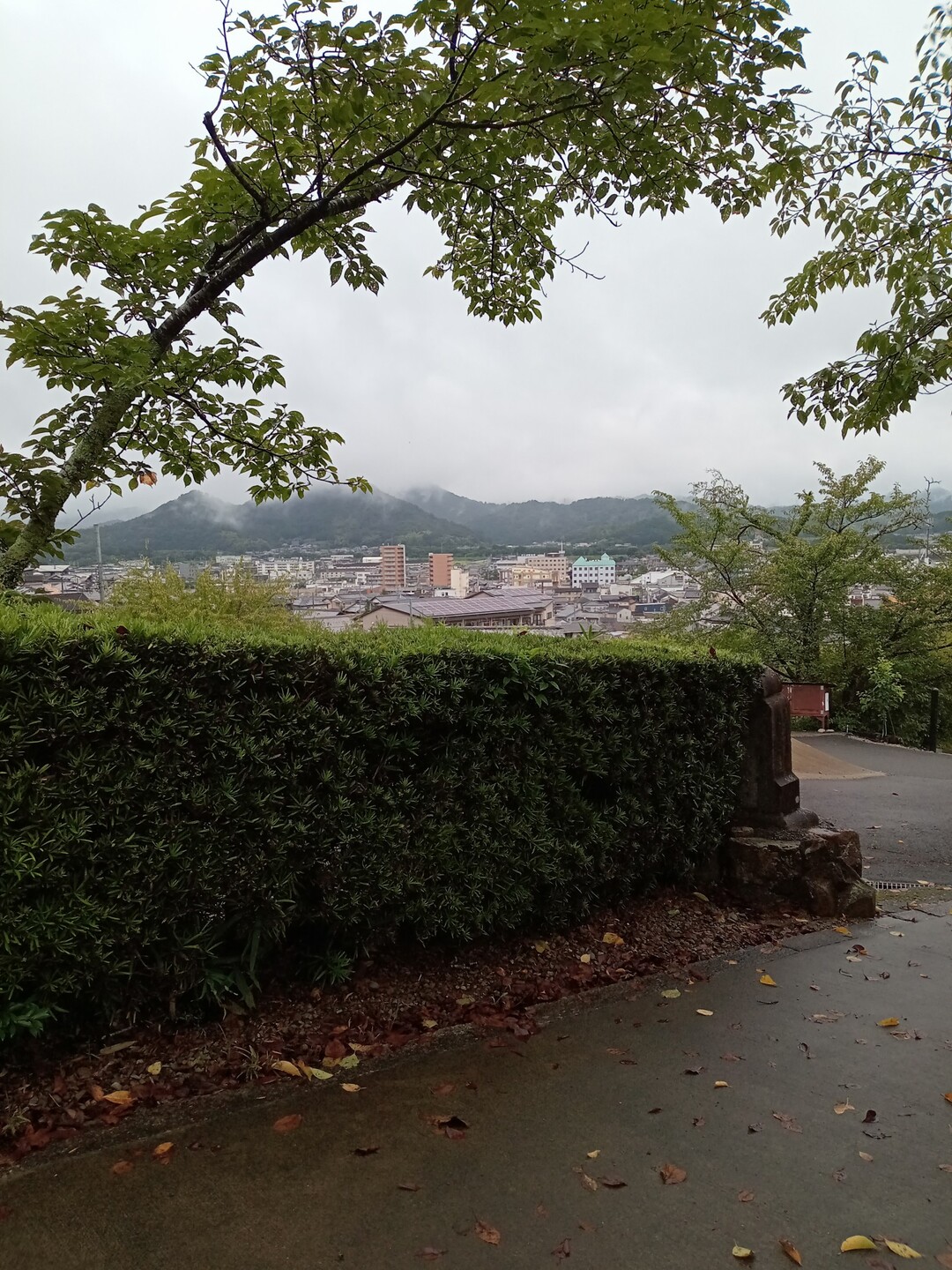 四尾山・藤山（寺山） / yuusenさんの由良川の活動データ | YAMAP / ヤマップ