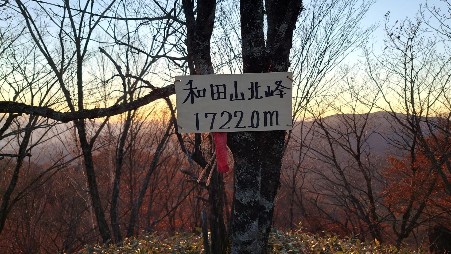 和田山南峰・和田山北峰 -2023-11-01 / mc40さんの霧ヶ峰・車山・大笹峰の活動データ | YAMAP / ヤマップ