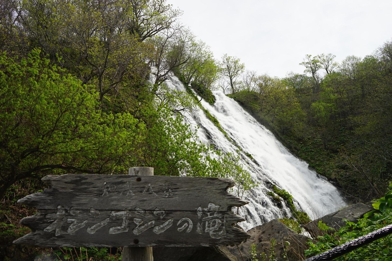 2日目曇天の中…天に続く道〜オシンコシンの滝へ ️ / mii500さんのウォーキングの活動データ | YAMAP / ヤマップ