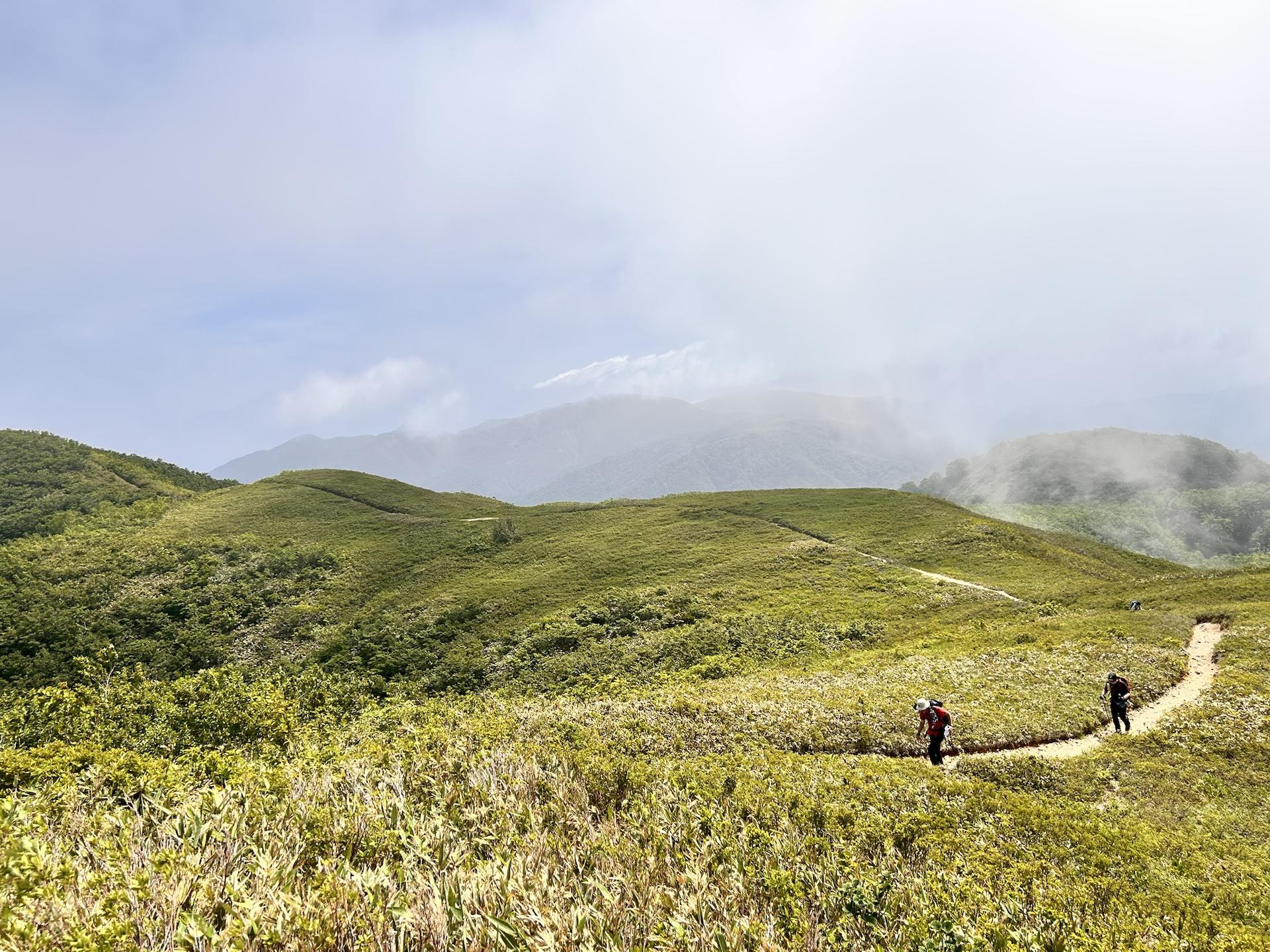 片折岳・金剛堂山（前金剛）・中金剛堂山・奥金剛堂山 / godeyeさんの金剛堂山の活動データ | YAMAP / ヤマップ