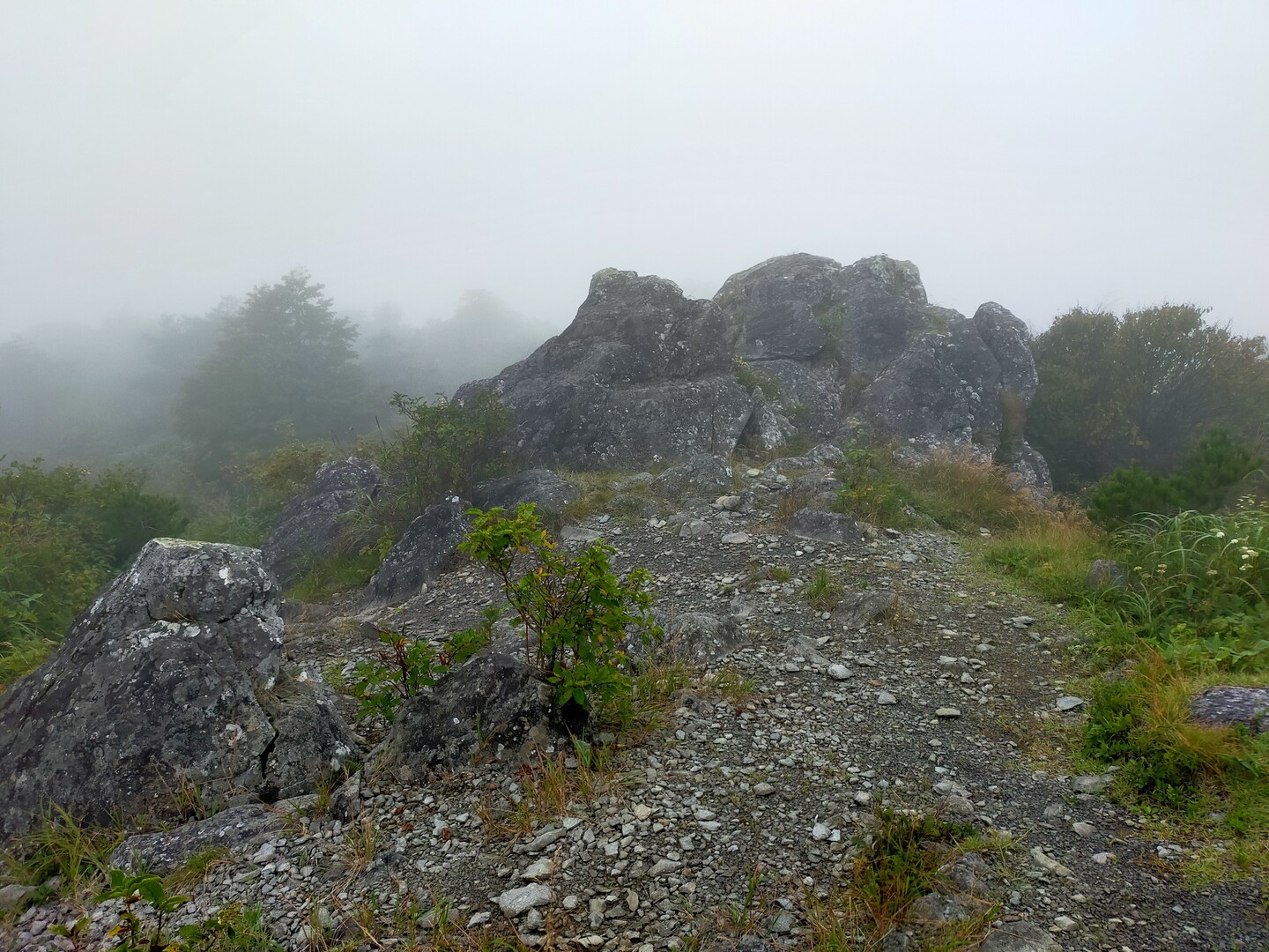 物見山（種山） / Tacさんの物見山（種山）の活動データ | YAMAP / ヤマップ