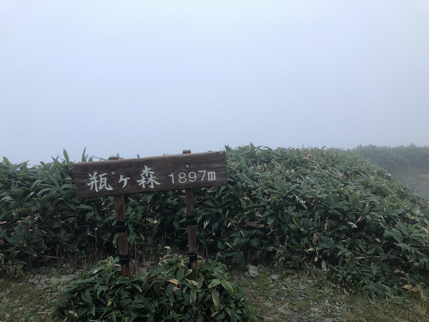 伊予ノ國、絶景の山（後編） / Ascaさんの瓶ヶ森・伊予富士の活動データ | YAMAP / ヤマップ