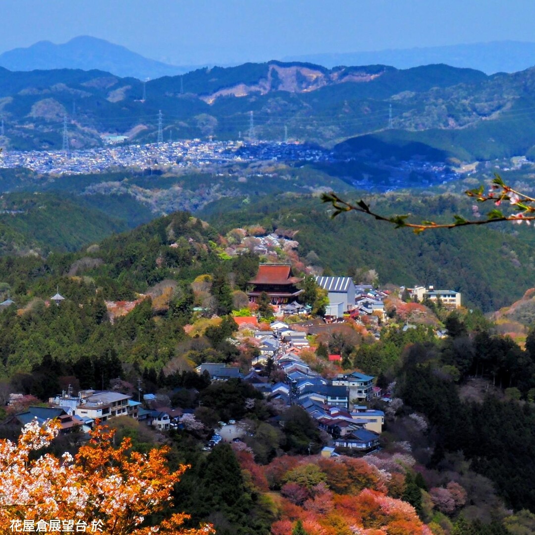 写活📷 ⬇ https://www.i... / しゅんすけさんのモーメント | YAMAP / ヤマップ