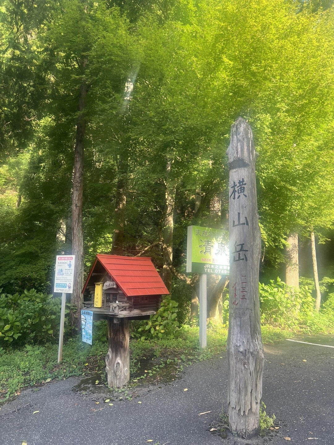 横山岳・（東峰）↗️白谷本流↘️東尾根 / Ree Ree Nailさんの横山岳・墓谷山の活動日記 | YAMAP / ヤマップ