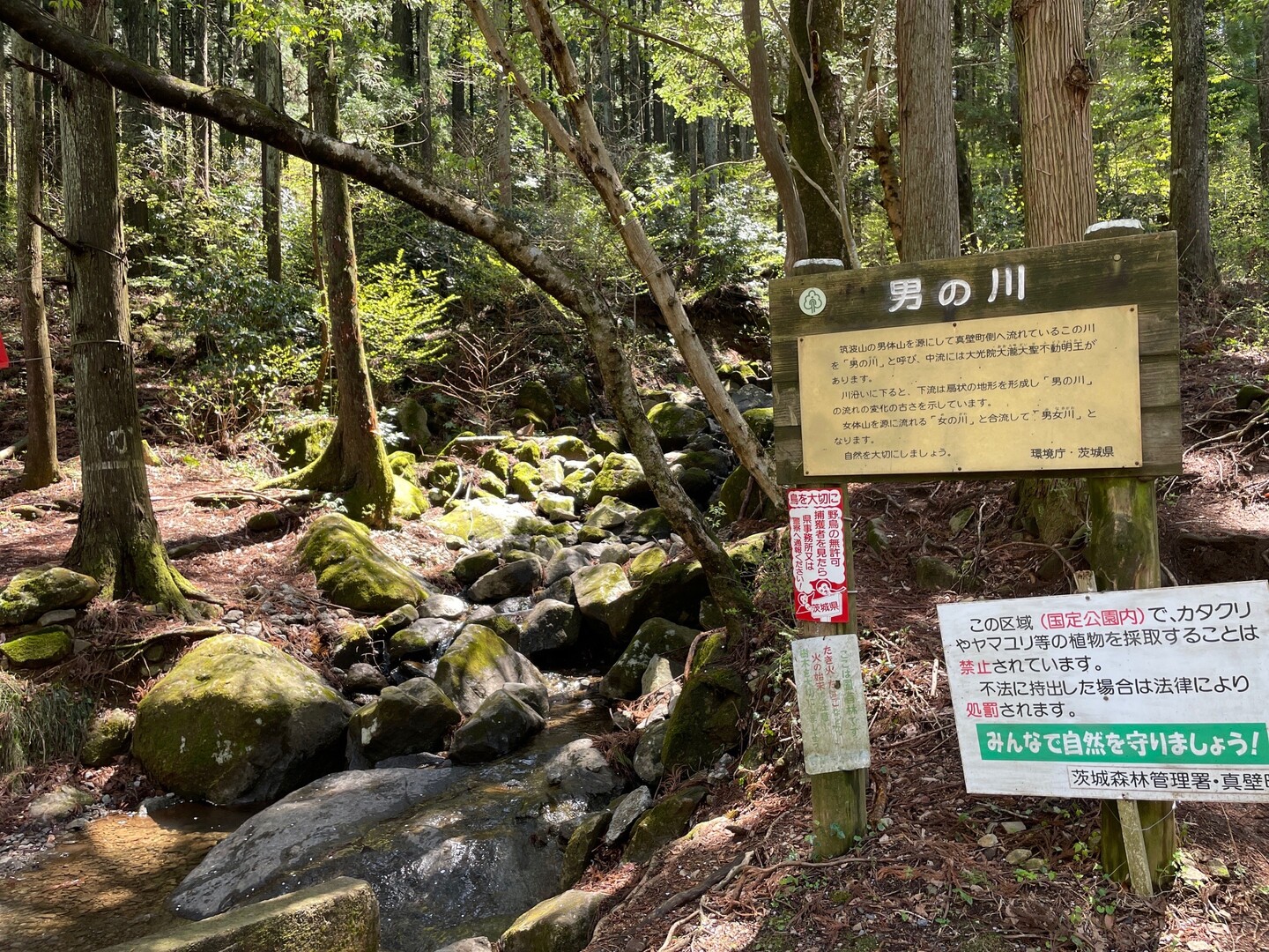 von Sigさんの投稿したフィールドメモ | YAMAP / ヤマップ