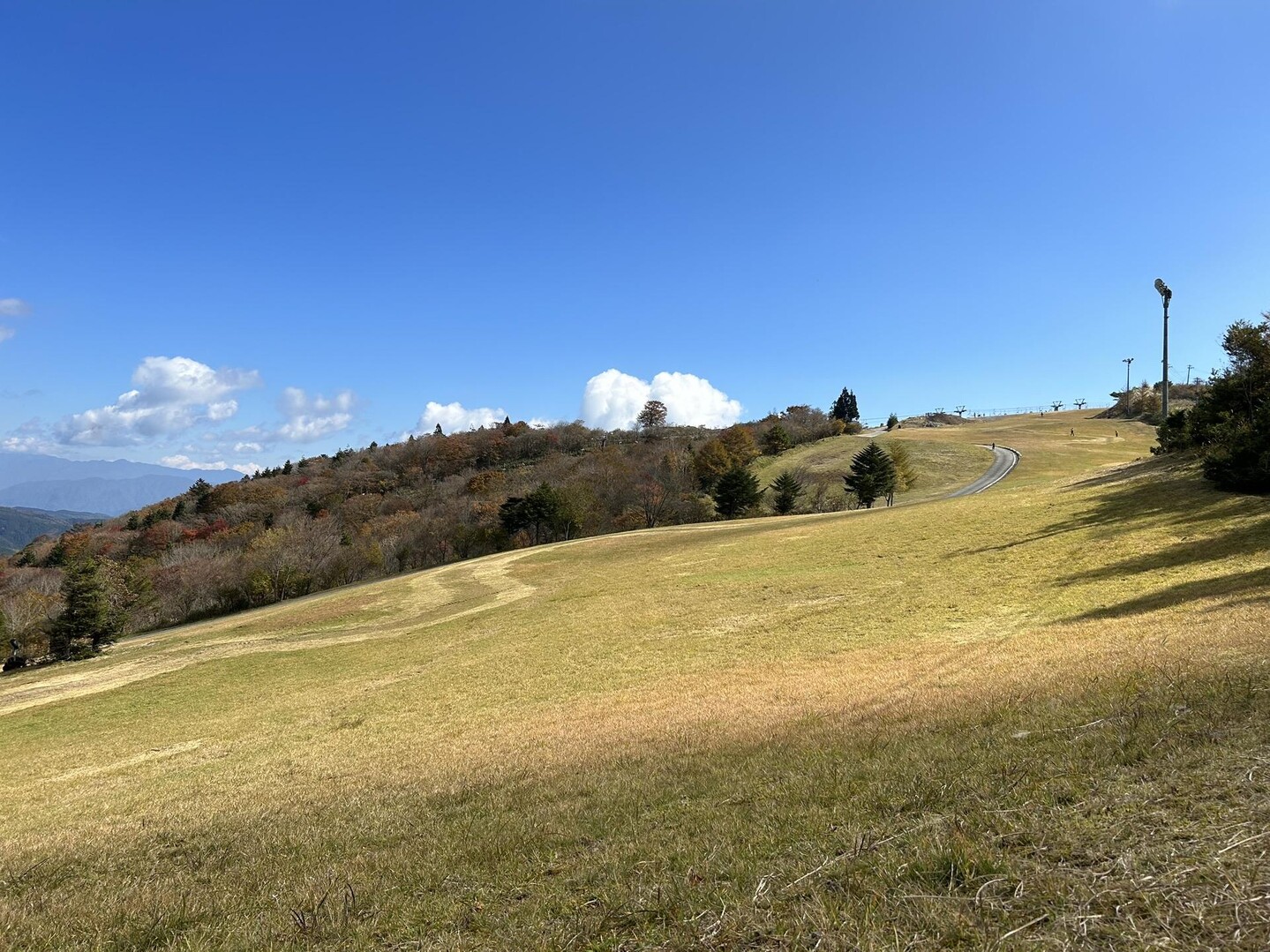 茶臼山・萩太郎山 / azuさんの茶臼山・萩太郎山の活動データ | YAMAP / ヤマップ