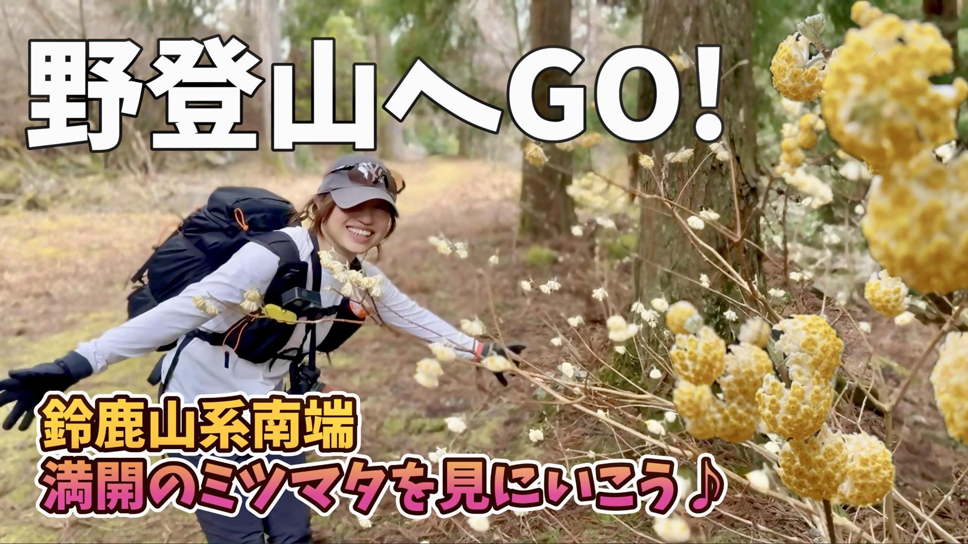 ミツマタを見に野登山へGO！ してきまし... / Tomo CHANNELさんのモーメント | YAMAP / ヤマップ