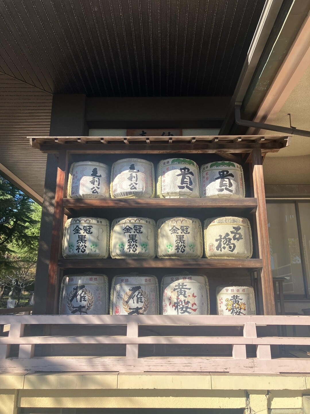 20241013天神山 / さかもっちゃんさんの右田ヶ岳・西目山・楞厳寺山の活動データ | YAMAP / ヤマップ