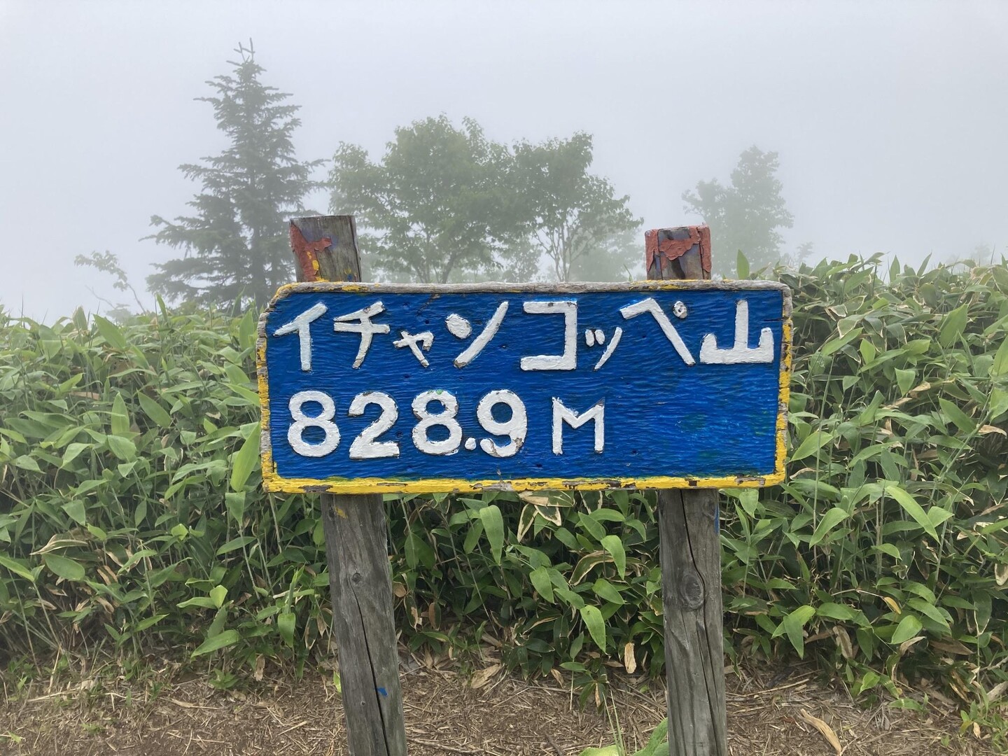 イチャンコッペ山 / sak.5さんのイチャンコッペ山の活動データ | YAMAP / ヤマップ