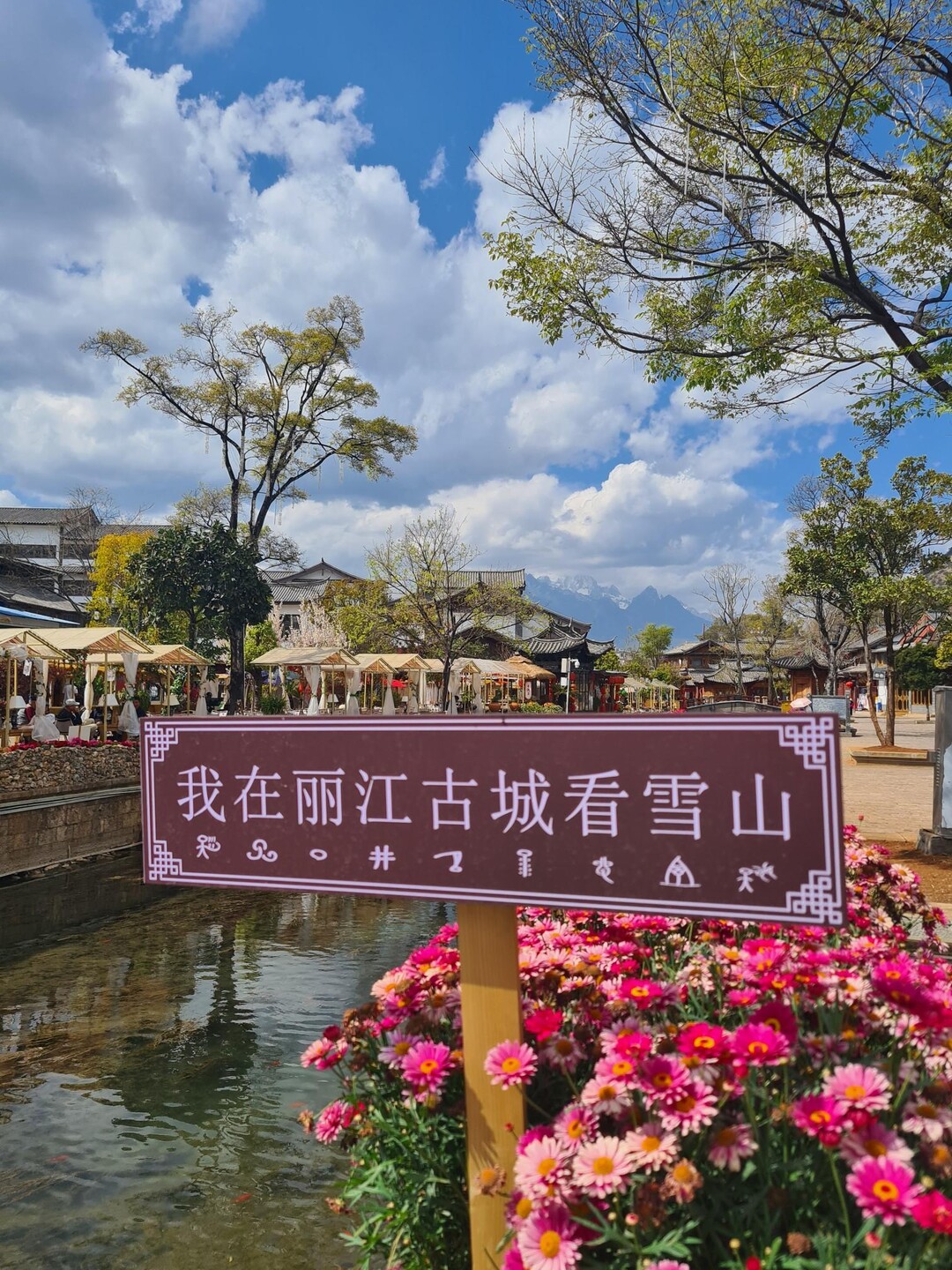 世界文化遺産・麗江古城観光 / Joさんの麗江市の活動データ | YAMAP / ヤマップ