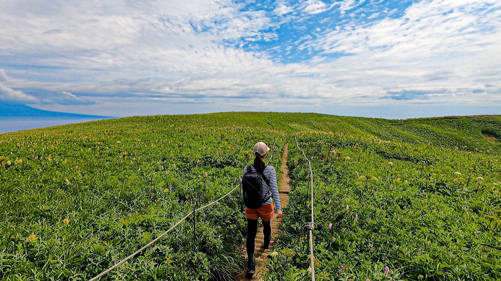花の浮島♪礼文島の1番人気！お花畑が続く桃岩展望台コース-Day3 / あどさんの礼文島の活動データ | YAMAP / ヤマップ