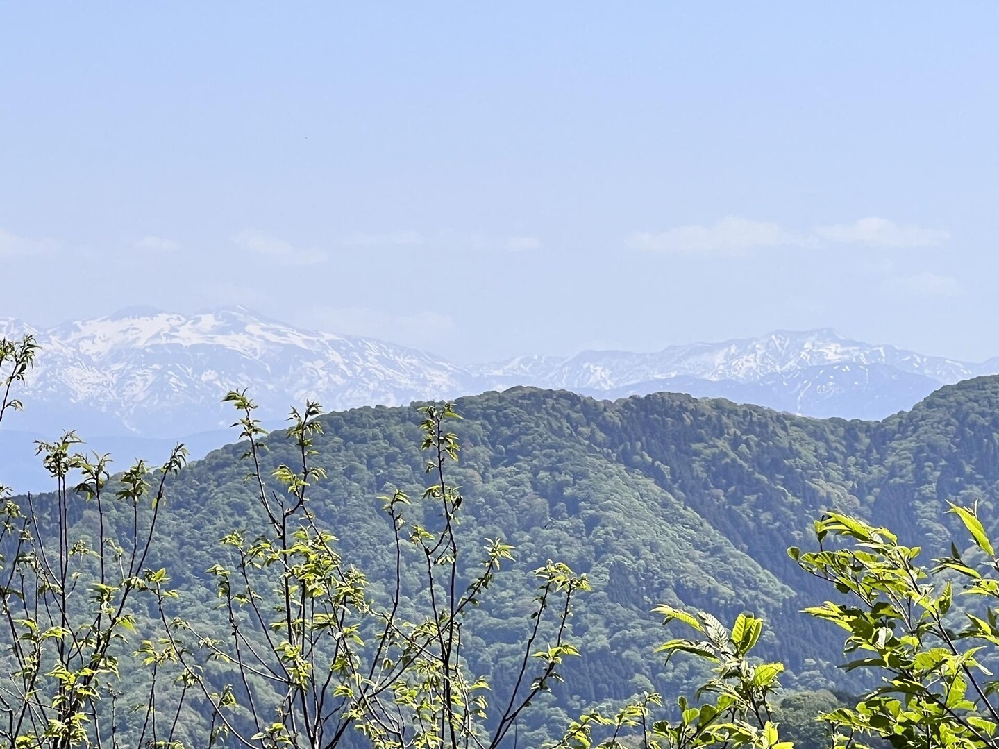 吉野ヶ岳 / ma_han_mさんの吉野ヶ岳の活動データ | YAMAP / ヤマップ