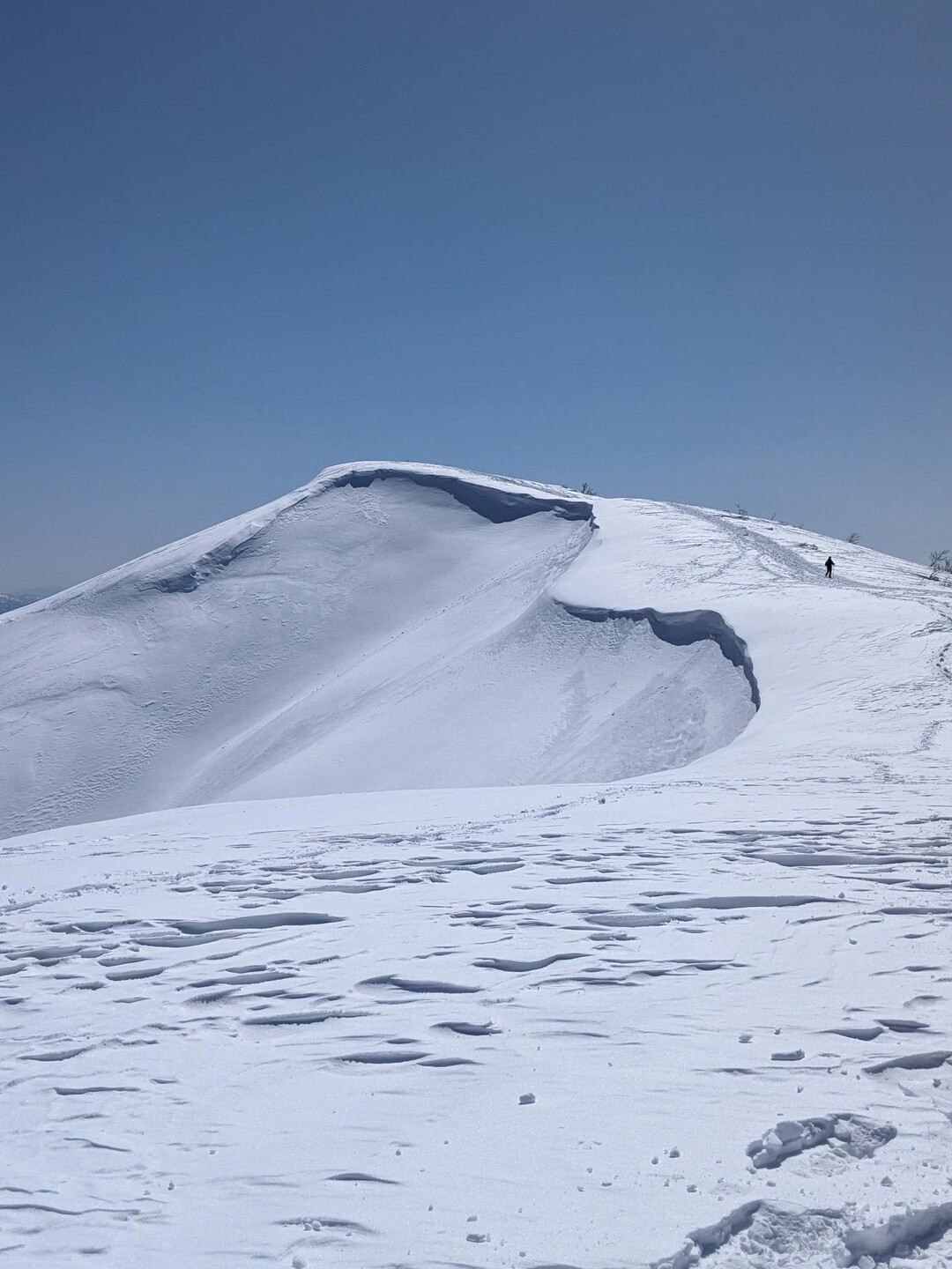 金剛堂山 / milkyさんの金剛堂山の活動データ | YAMAP / ヤマップ