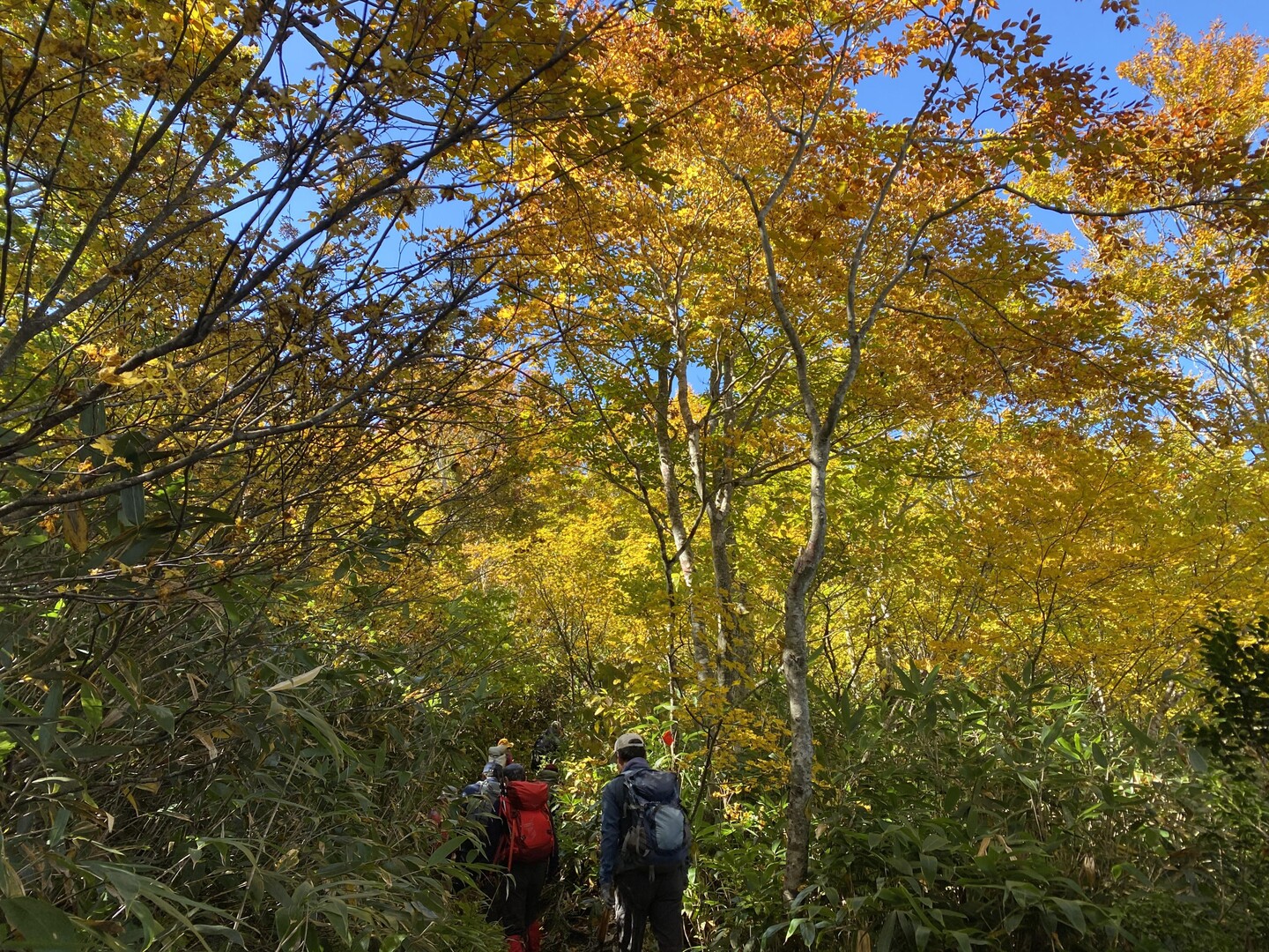 【船形山升沢避難小屋】バイオトイレオガクズ卸し参加 / R_MAXさんのハイキングの活動データ | YAMAP / ヤマップ