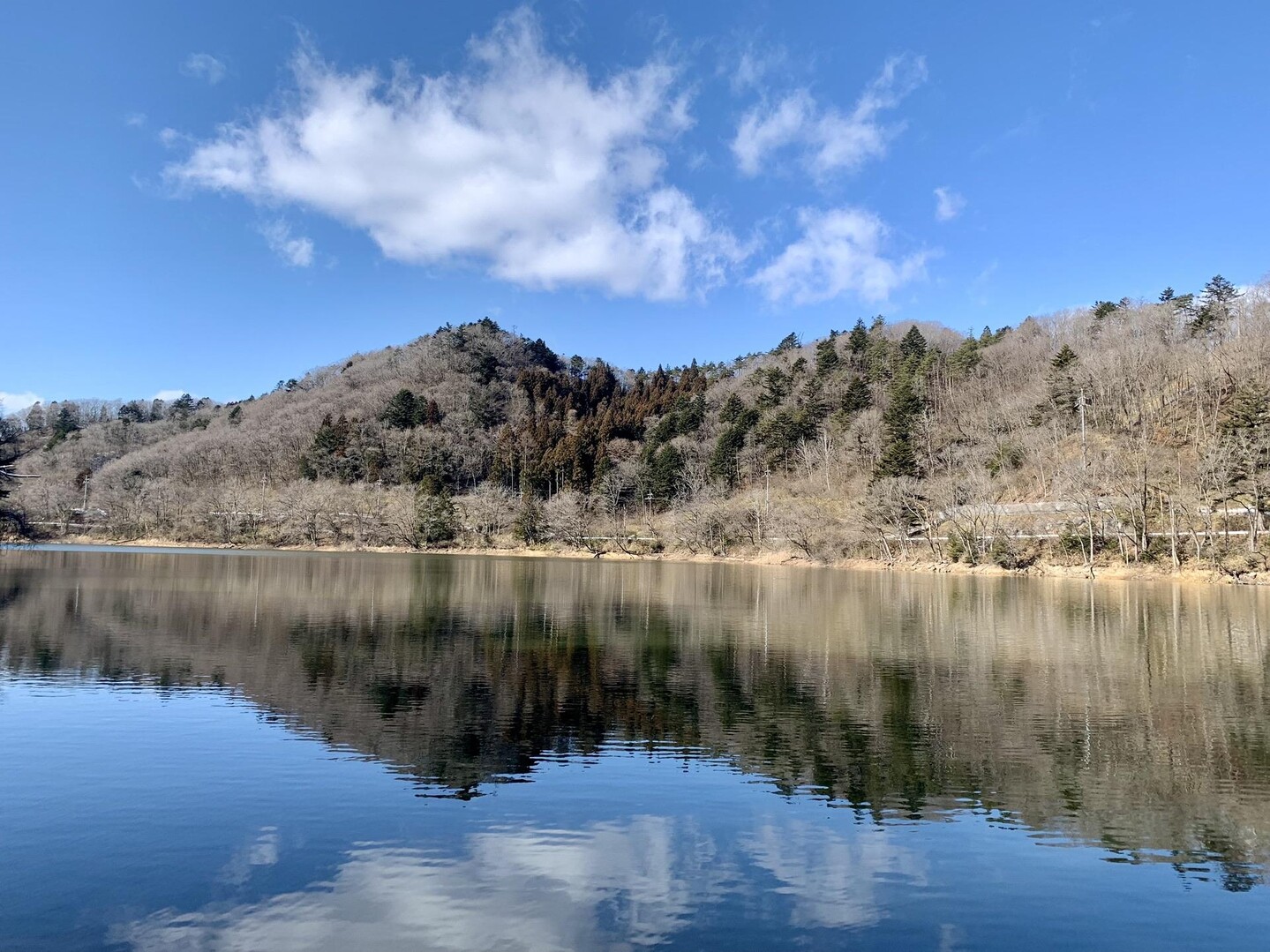 御殿山・二岩山・岩元山・岩元山(本峰)・親ノ倉山 / cinnamonさんの太白山・萱ヶ崎山・蕃山の活動データ | YAMAP / ヤマップ