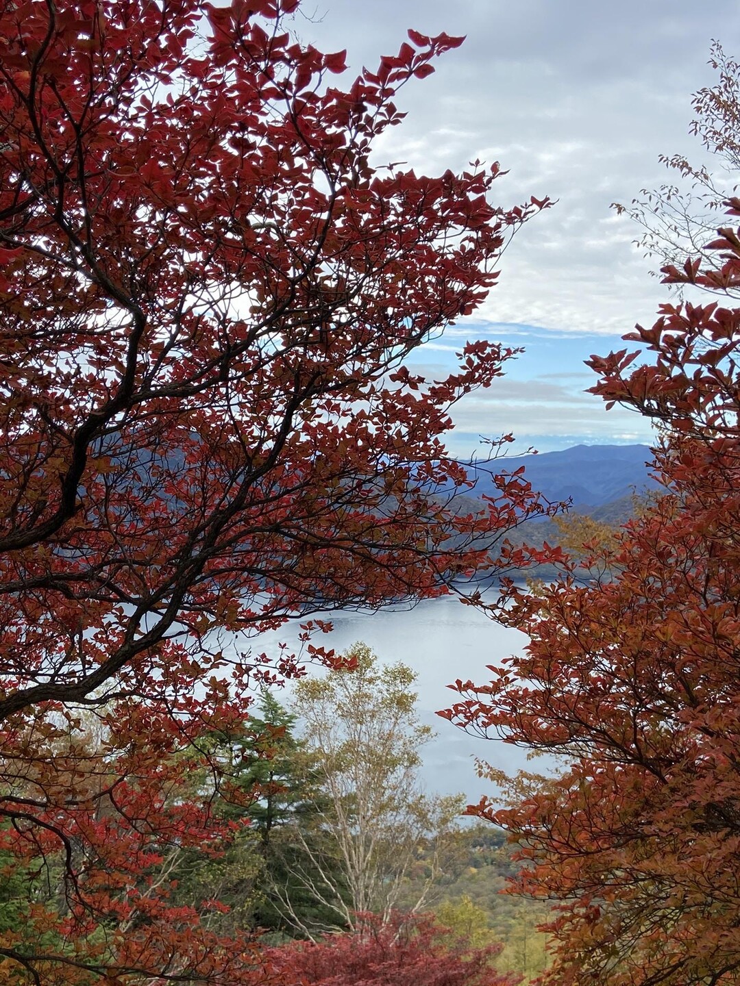 男体山 / KEENさんの男体山の活動データ | YAMAP / ヤマップ