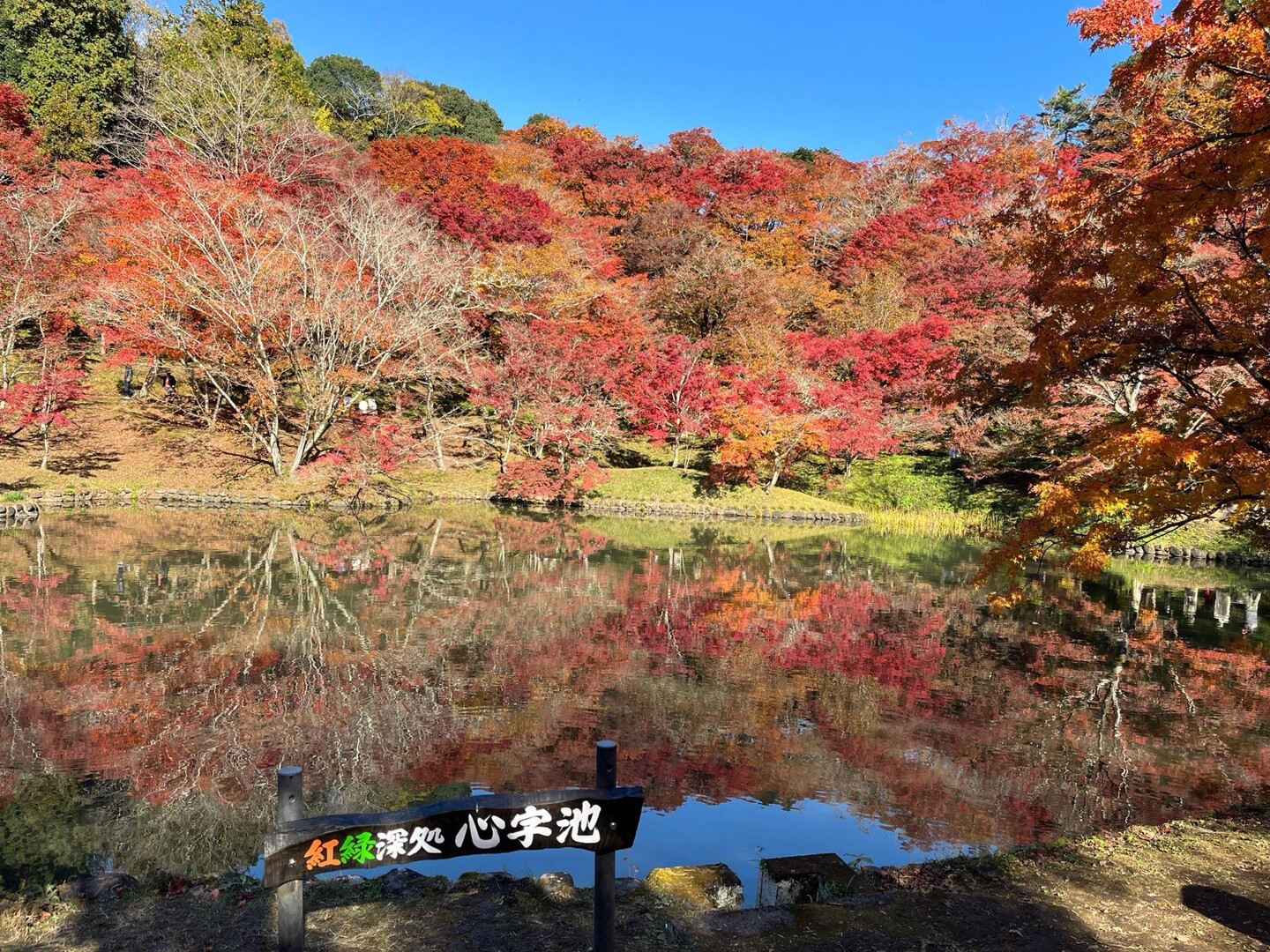 ウォーキング-2024-12-01 / Guest 昭和生まれのムツゴロウさんのウォーキングの活動日記 | YAMAP / ヤマップ