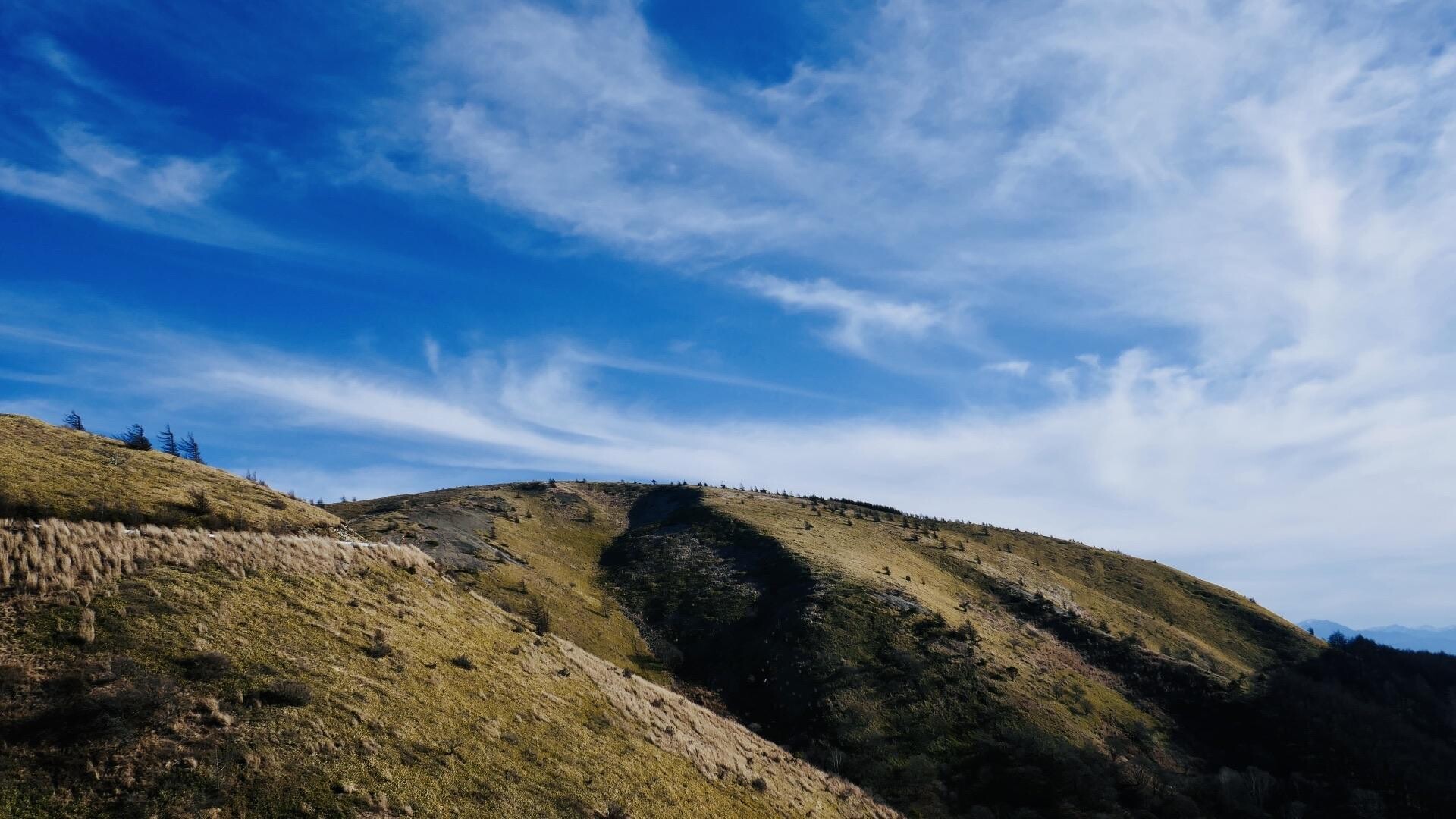 鉢伏山 / Yasukoさんの鉢伏山・高ボッチ山・三峰山の活動データ | YAMAP / ヤマップ