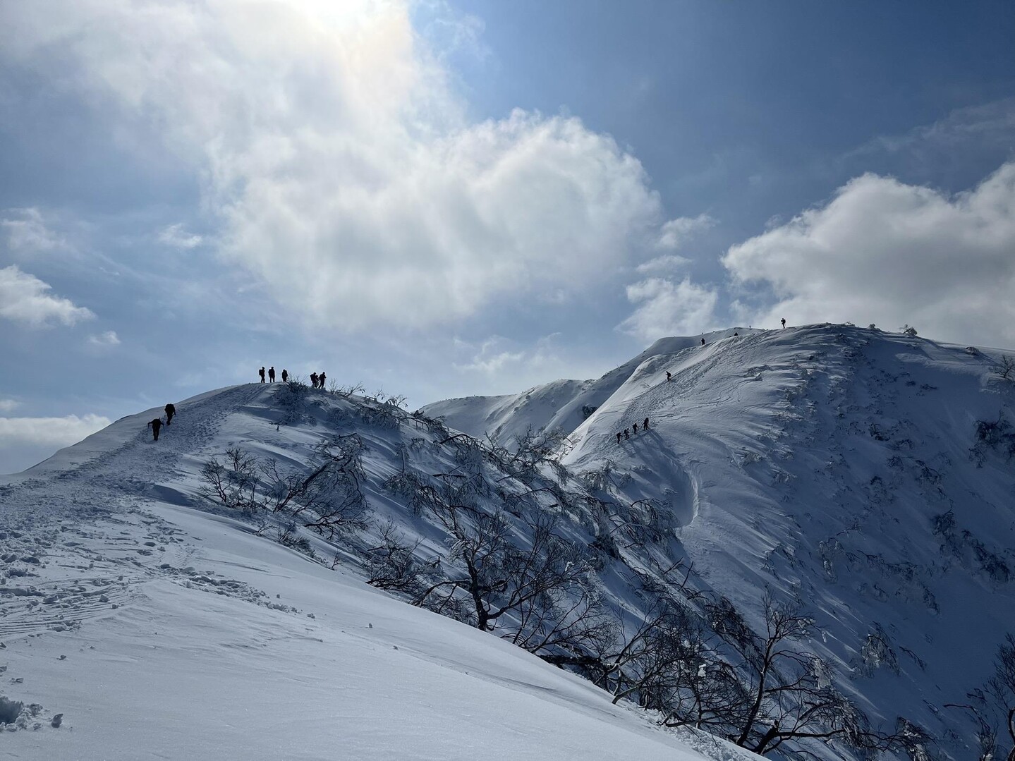 はじめまして、荒島岳 / mh_trskさんの荒島岳の活動データ | YAMAP / ヤマップ