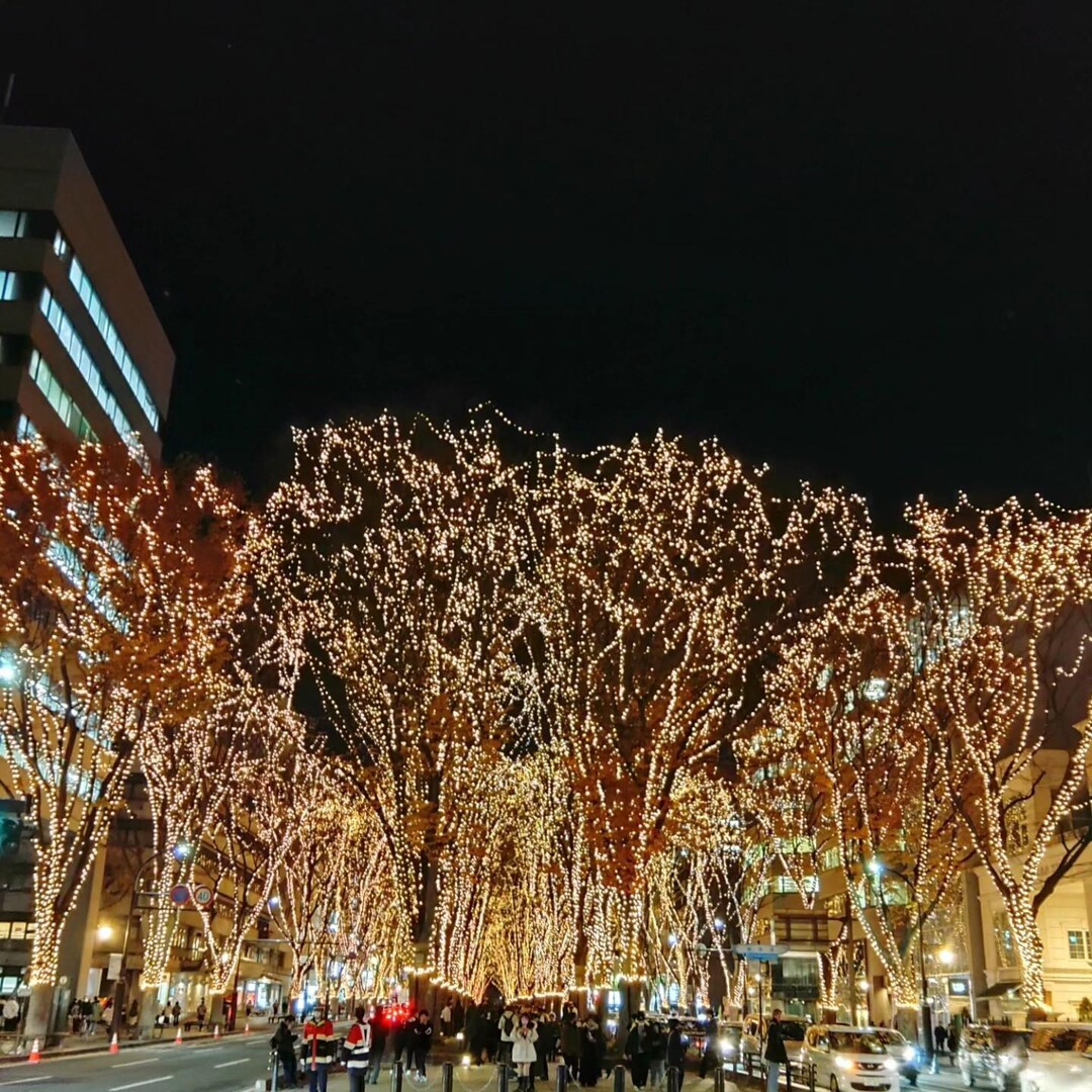 「地上に舞い降りた天の川」とも言われてい... / kazu66さんのモーメント | YAMAP / ヤマップ