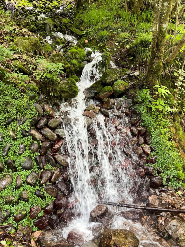 小秀山二の谷登山口-三ノ谷登山口-小秀山 周回コースの地図・登山ルート・登山口情報 | YAMAP / ヤマップ