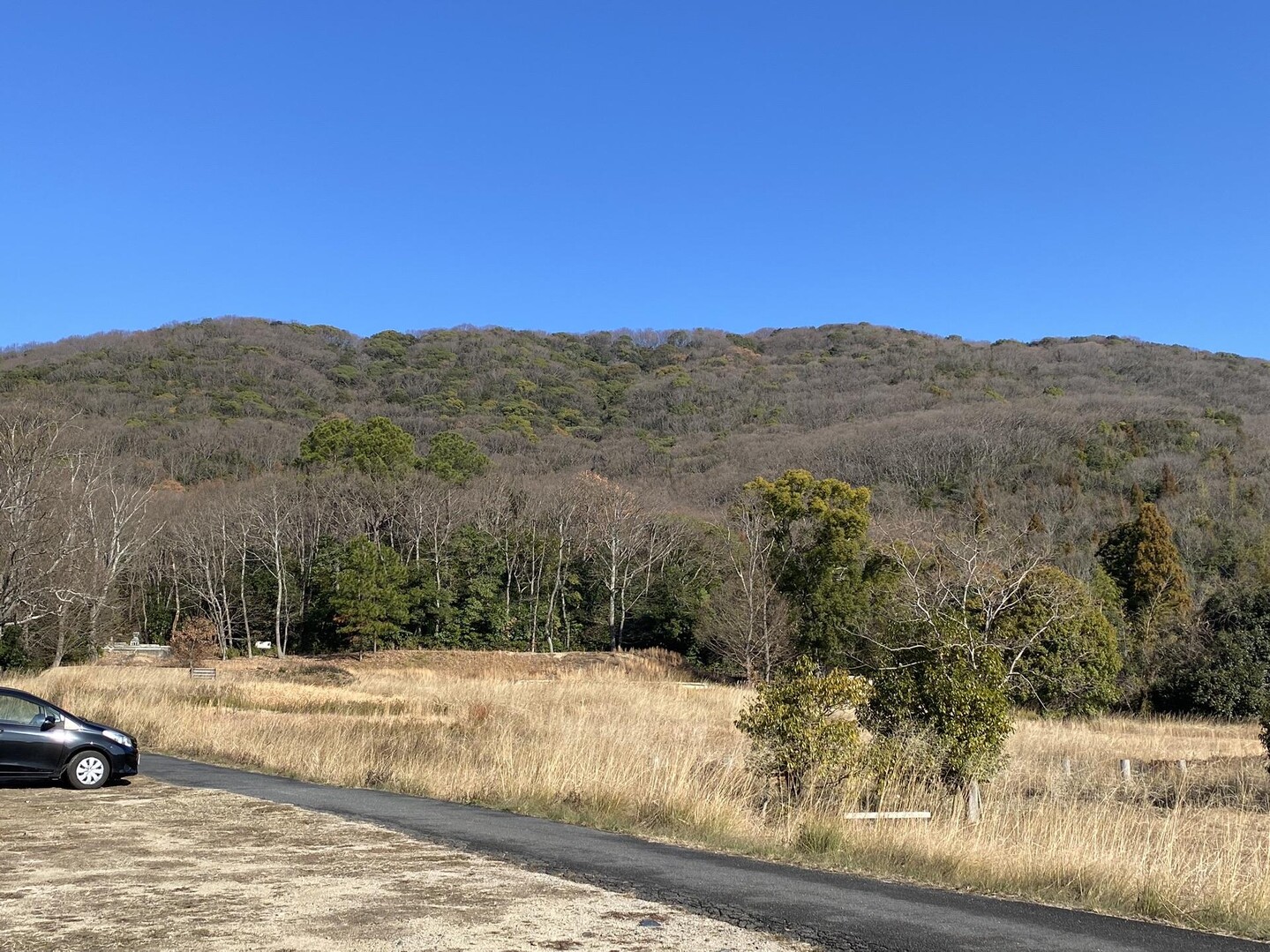 龍ノ口山 / moanaさんの龍ノ口山の活動データ | YAMAP / ヤマップ