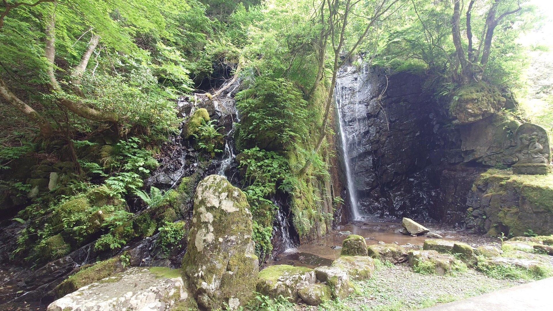 永平寺散歩、玲瓏の滝 / tutuさんのウォーキングの活動データ | YAMAP / ヤマップ