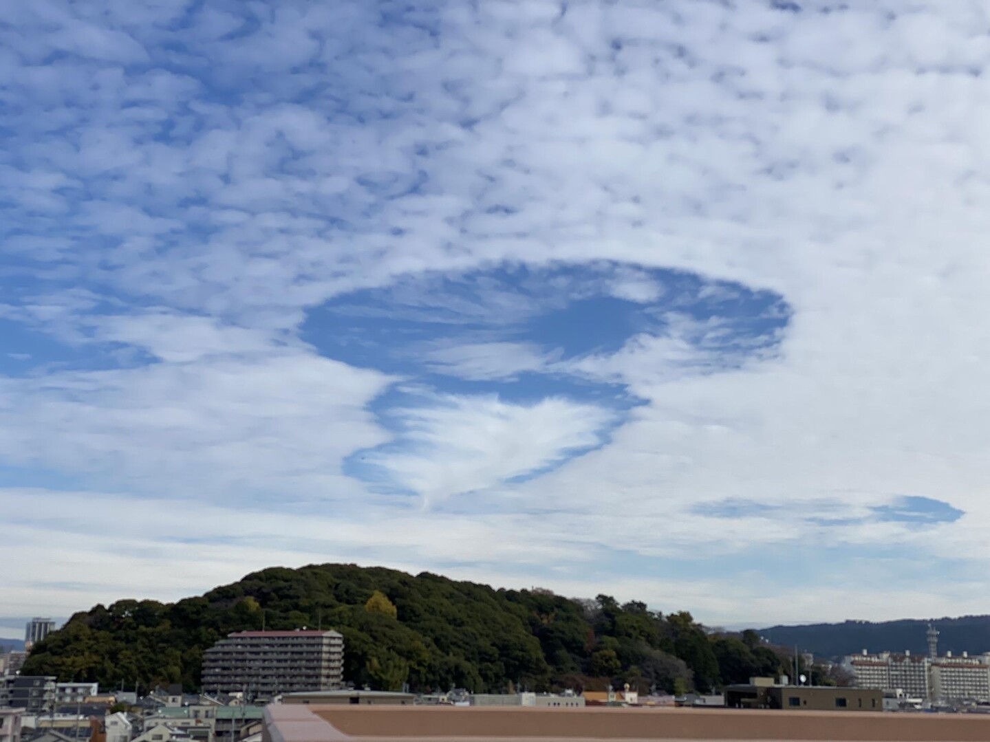 ノーコメントで🙇‍♀️いつもありがとう... / サニーさんのモーメント | YAMAP / ヤマップ