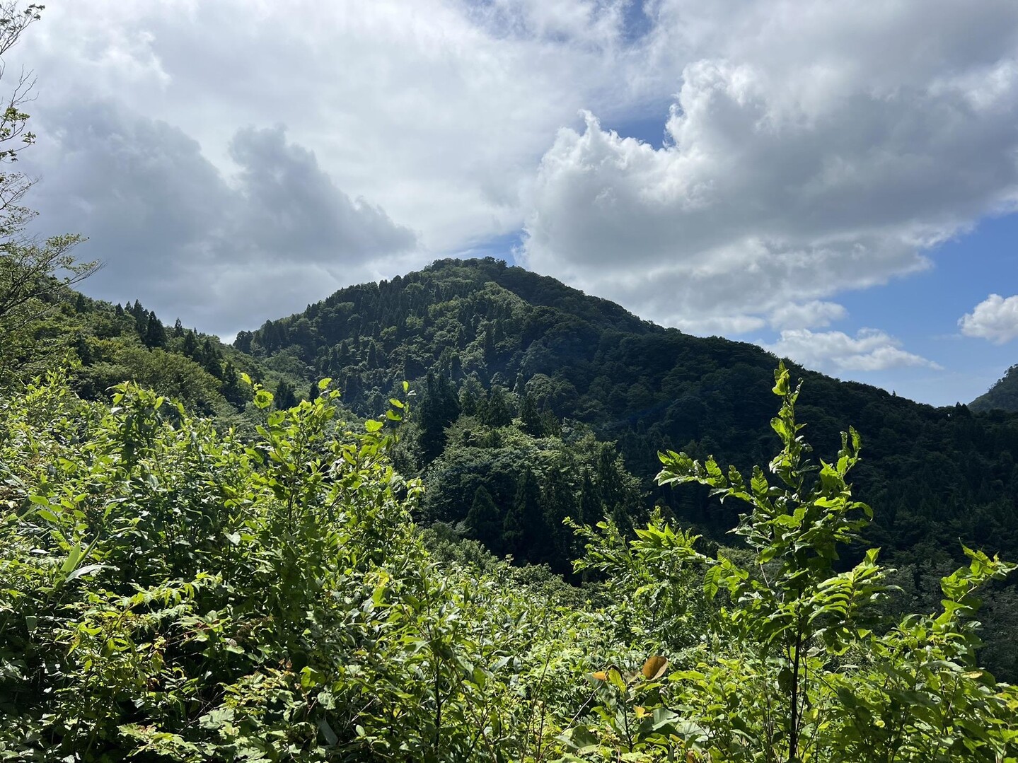 黒森山 / papaさんの東光山の活動データ | YAMAP / ヤマップ