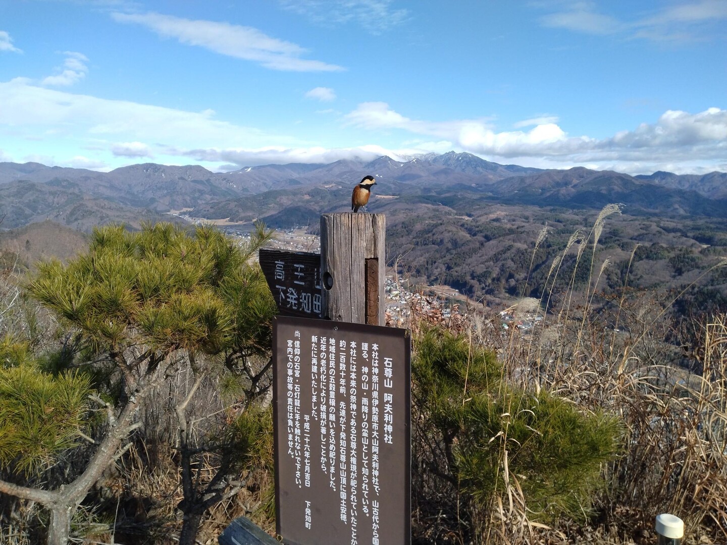 戸神山 / EIさんの戸神山・高王山の活動データ | YAMAP / ヤマップ