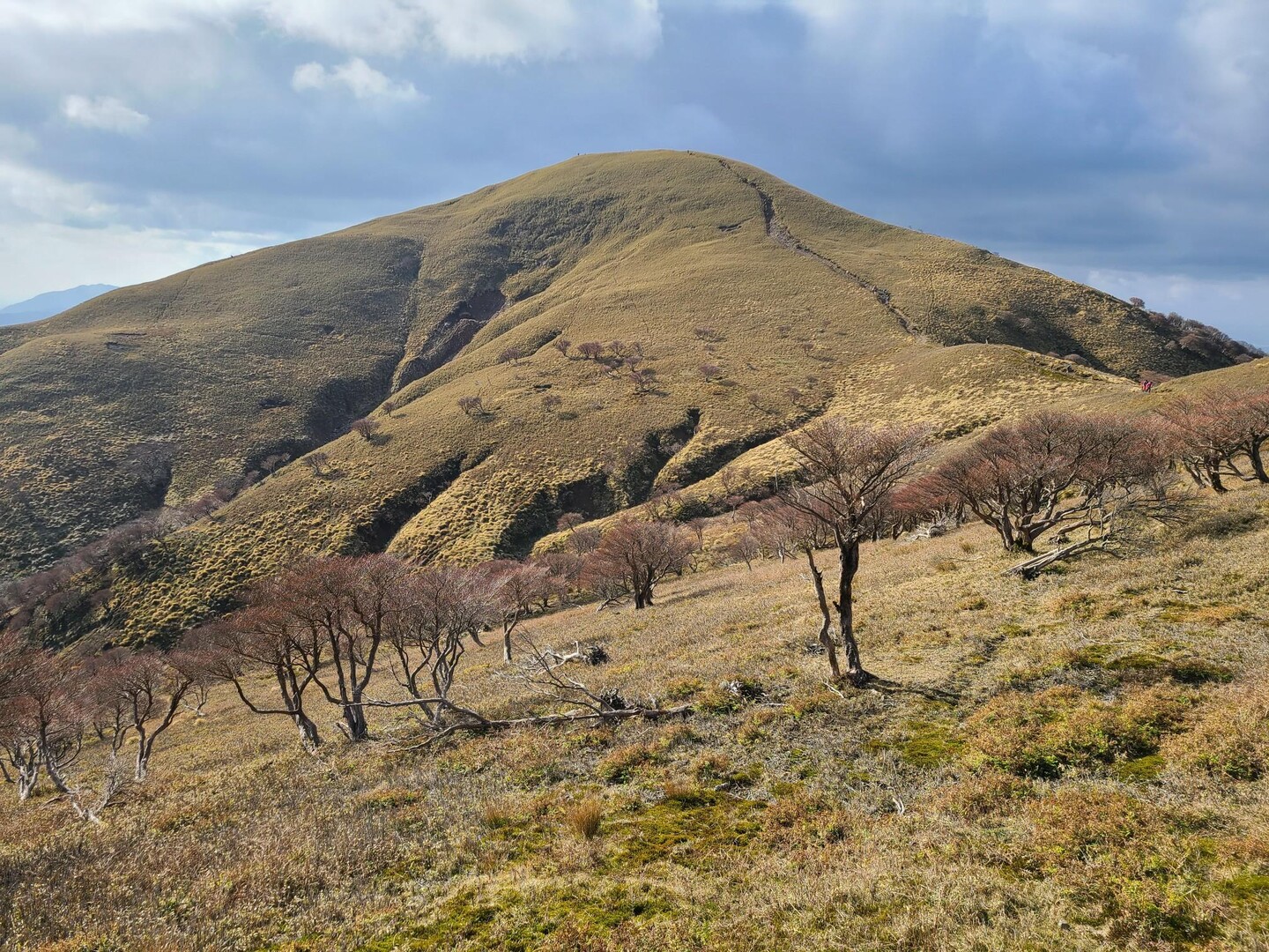 藤原岳・竜ヶ岳周回 / ym5shinさんの竜ヶ岳の活動データ | YAMAP / ヤマップ