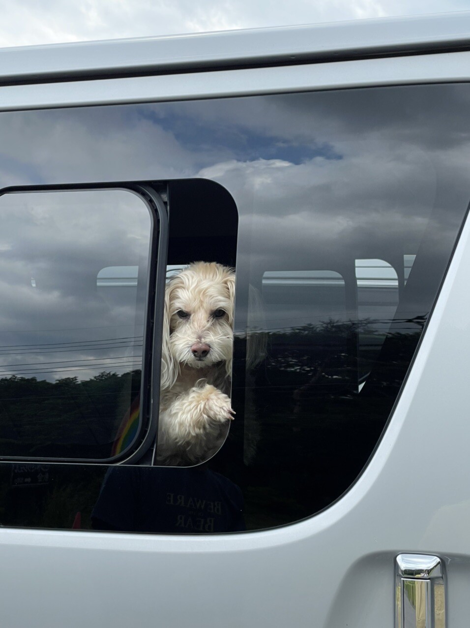 NNのページ | YAMAP / ヤマップ