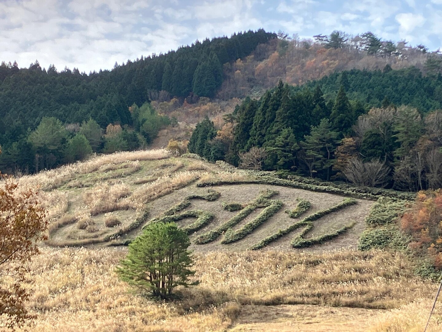 おかわり🍚小羅漢山・羅漢山 / totoさんの羅漢山の活動データ | YAMAP / ヤマップ