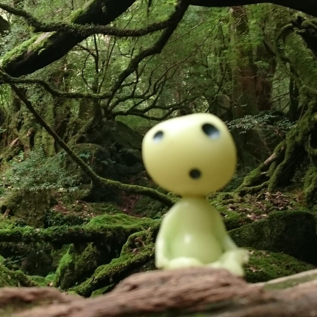 yuのページ | YAMAP / ヤマップ