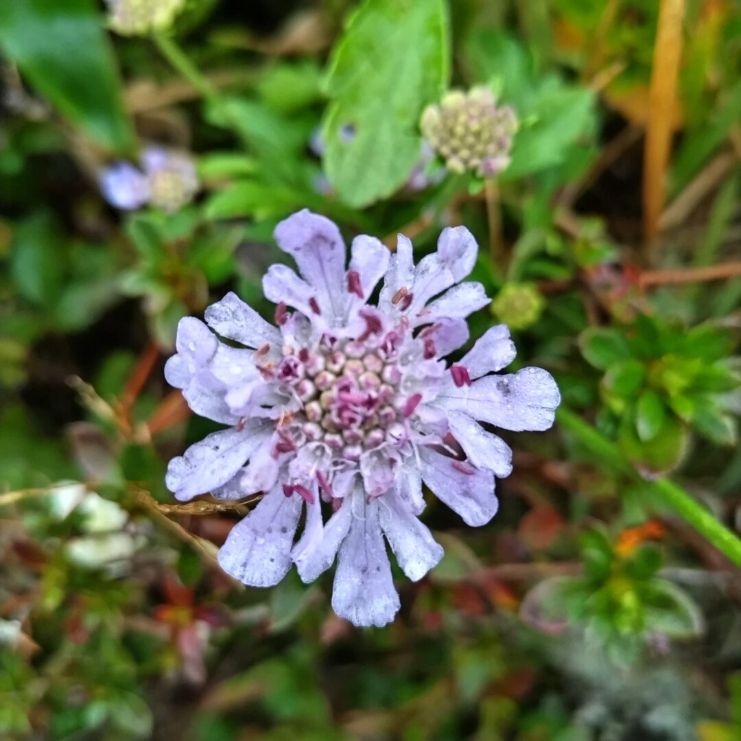 額取山 ⛰️1008.7m / あっけさんさんのウォーキングの活動日記 | YAMAP / ヤマップ