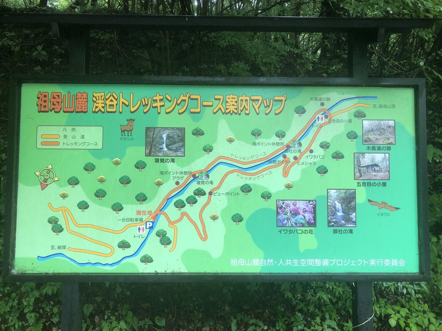 祖母山麓渓谷トレッキング / muneさんの祖母山の活動データ | YAMAP / ヤマップ