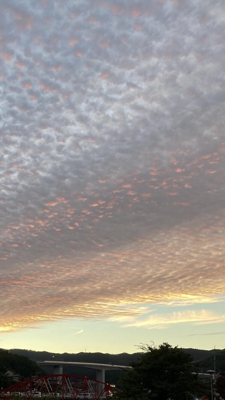 2022.10.11 17:22 その1... / haiziさんのモーメント | YAMAP / ヤマップ