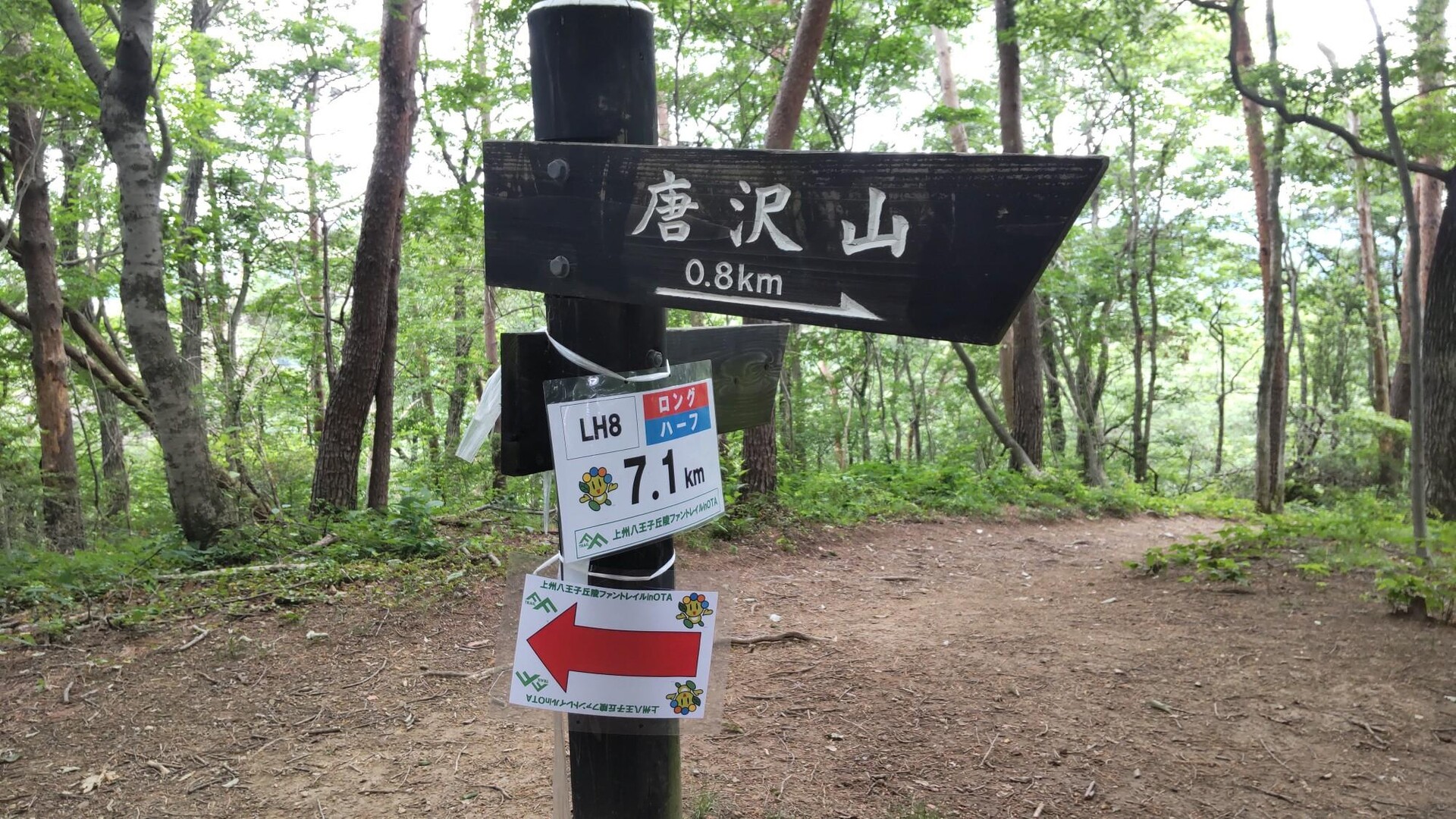 高壷山・日向山・神籠山・高尾山・唐沢山 / sho-go-さんの両崖山・仙人ヶ岳・石尊山の活動データ | YAMAP / ヤマップ