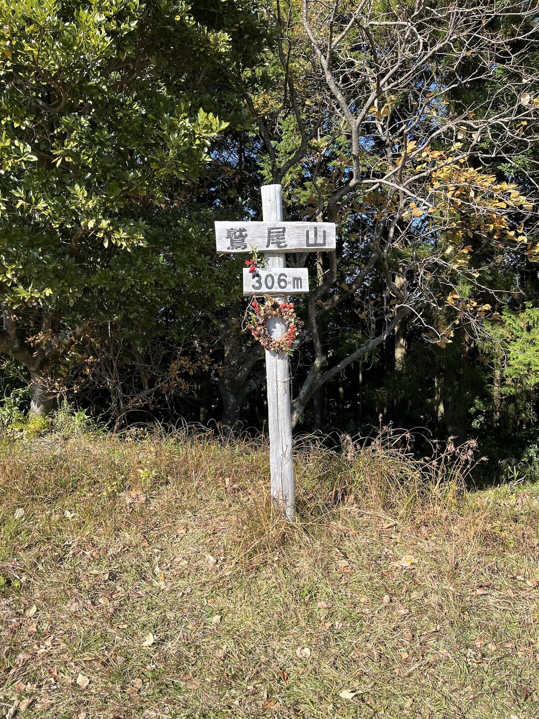 皿ヶ峰・鷲尾山・烏帽子山 / tmkさんの鷲尾山・皿ヶ峰・宇津野山の活動データ | YAMAP / ヤマップ